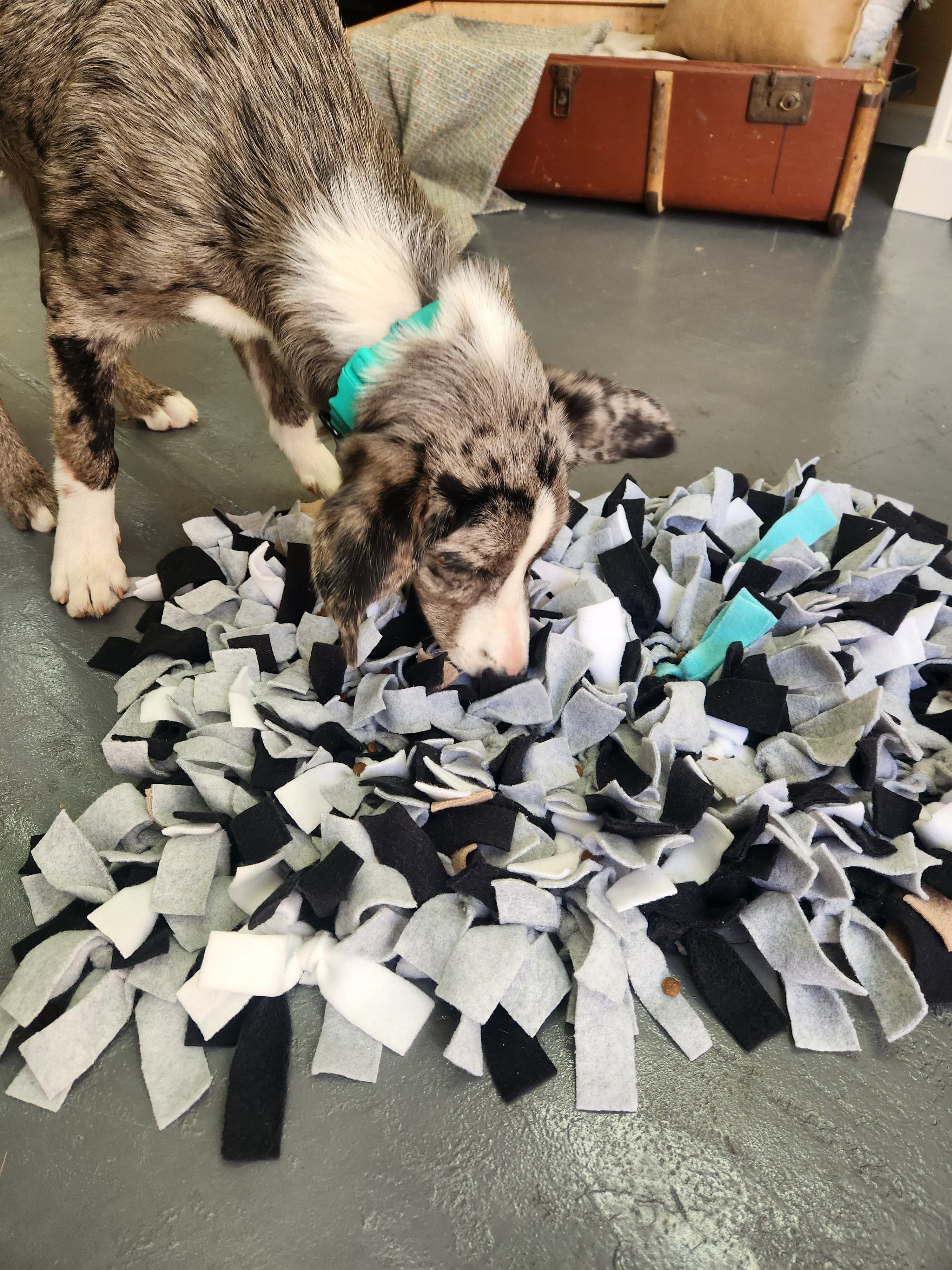 Snuffle Mats - Heavy Duty | Critter Cube